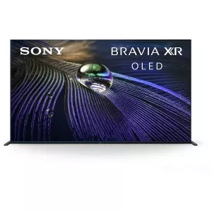 TV Sony 55 inci, gagasan hadiah kulawarga