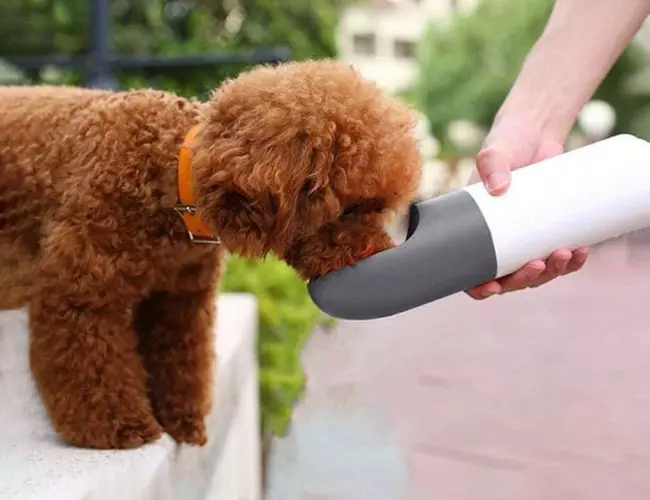 Одржавајте свог пса хидрираним у покрету уз помоћ боце за воду за псе