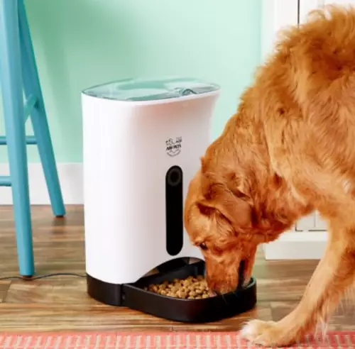 Ang ARF Pets Automatic Dog Feeder