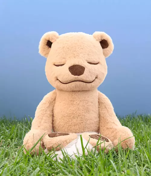 meddy teddy yoga արջուկ, փափուկ խաղալիքներ մեծահասակների համար