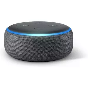 Echo Dot, wit olifant geskenkgids