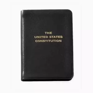 US mini constitution, zvipo zvevanasekuru