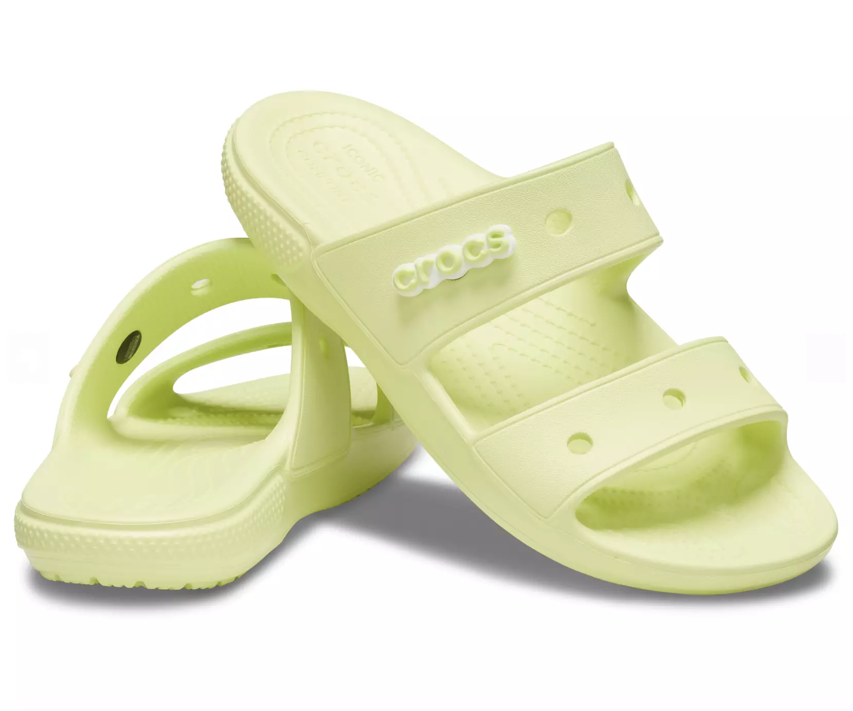 Crocs сонгодог шаахайн