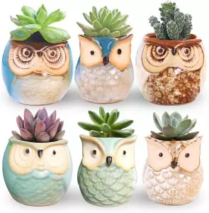 mejores regalos para compañeros de trabajo: Rose Create Little Ceramic Succulent Owl Pots