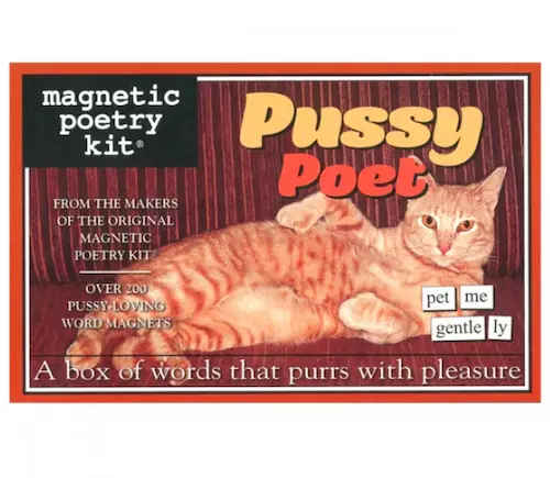 Magnetic Poetry Kit - Pussy Poet Edition