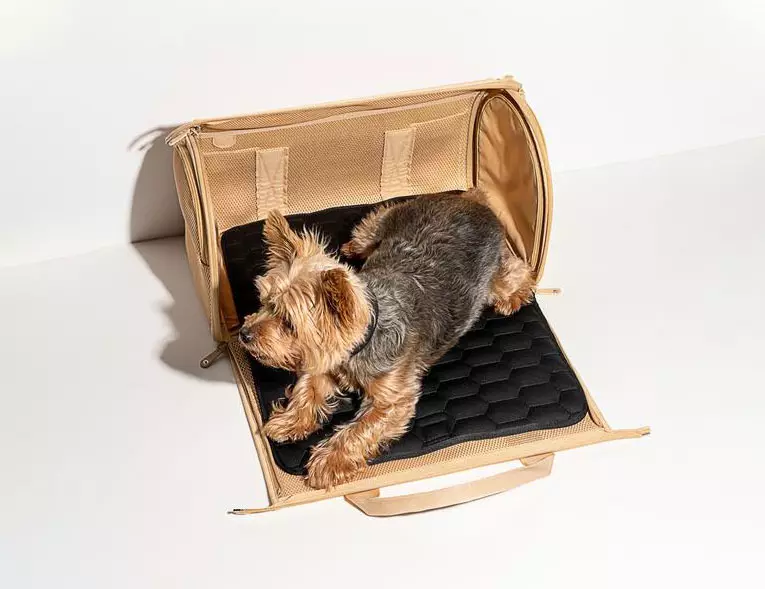 melhores sacos de transporte para cães