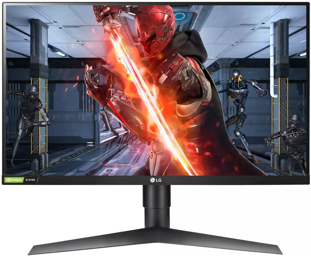 LG Monitör