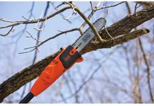 b = Black + Decker Pole Saw