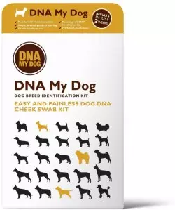 DNA my dog kit، dog dna kit