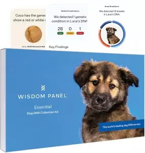 Wäisheet Panel Hond DNA Kit