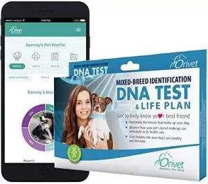 orivet dog DNA test