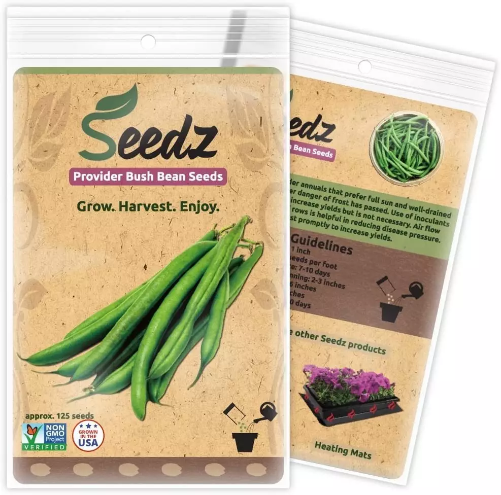 Siki Kacang Hijau organik Seedz
