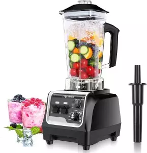 skanwen professional blender