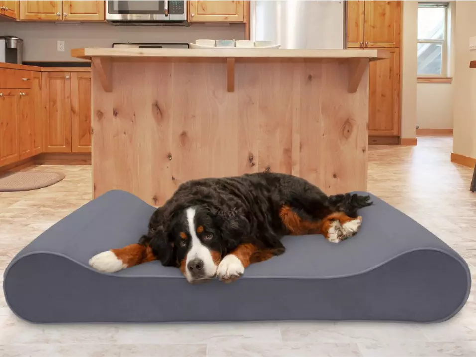 microvelvet cooling dog bed, cooling dog beds