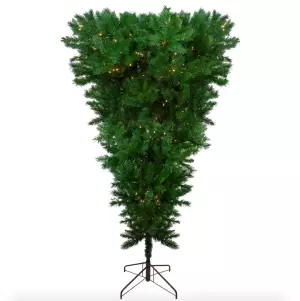 မြောက်အလင်းရောင်မှ ဦးဆောင်သော ခရစ္စမတ်သစ်ပင်ကို ဇောက်ထိုး