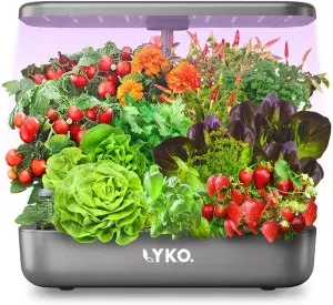 Lykoclean hydroponic puutarha