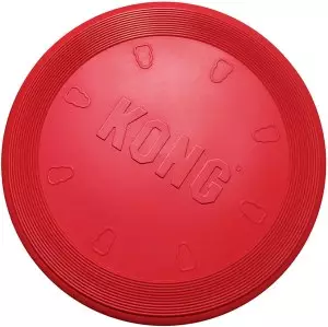 KONG rezin it oýnawajy, itler üçin frisbees