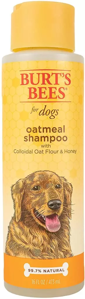 Burt's Bees koirille luonnollinen kaurahiutale-shampoo