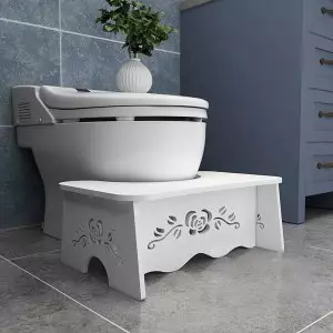 fanwer tsugunne toilet stool