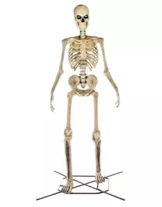 thekse në shtëpi skeletin e festave të oborrit të figurës së syve të jetës, dekorimet më të mira të oborrit të Halloween