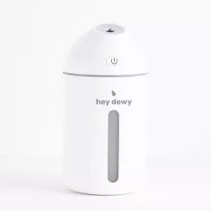 Hey dewy portable face humidifier
