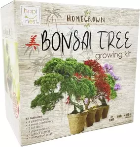 Kit d'inici d'arbres bonsai de la botiga Hapinest