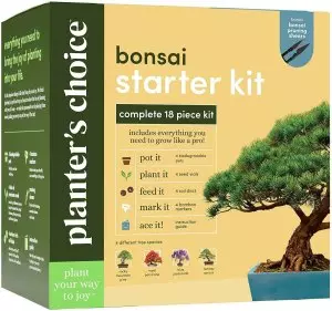 Landarearen aukeratutako bonsai hasierako kit, bonsai zuhaitzen kit