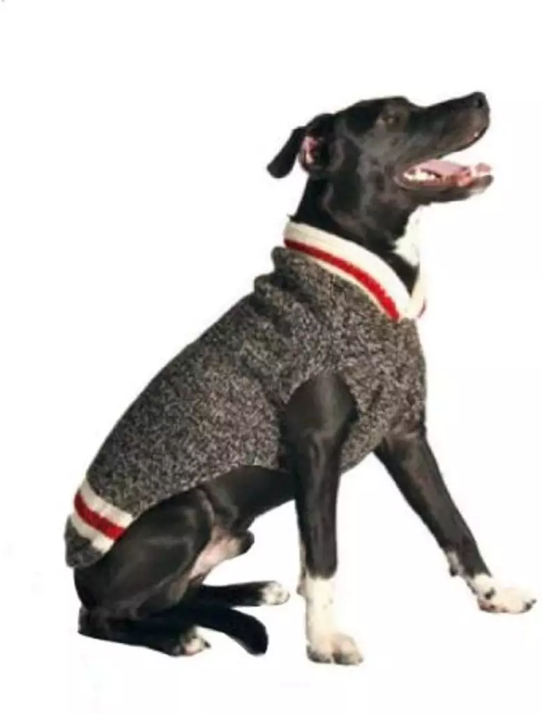 Suéter Chilly Dog Namorado Cão