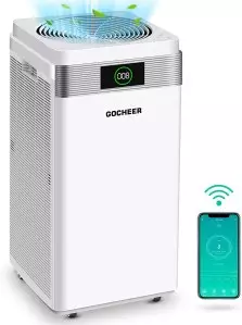 i-gocheer air purifier idivayisi ehlakaniphile, izihlanzi zomoya ezihamba phambili