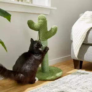 Frisco Cactus Cat Scratching Posting