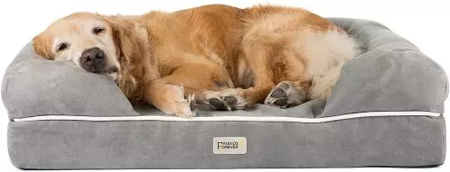 Friends Forever Lounge Dog Bed เตียงสุนัขที่ดีที่สุดสำหรับสุนัขขนาดใหญ่