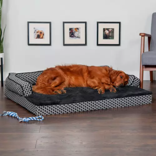 FurHaven Comfy Couch Dog Bed, akwa nkịta kacha mma maka nkịta buru ibu