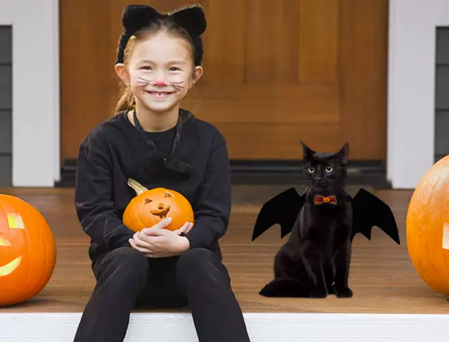 kostum kucing halloween paling apik