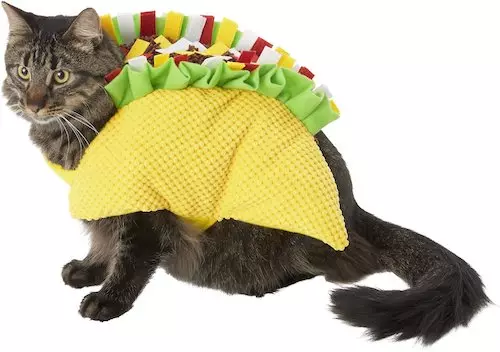 Костюм на котка Frisco Taco