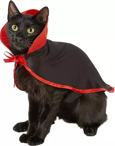 . Frisco Vampire Cape Cat Costume