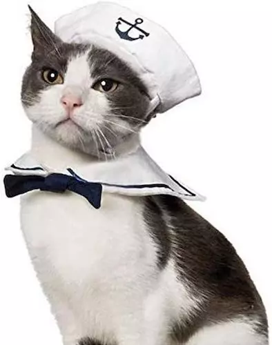 Namsan Pet Sailor Kostym för katter