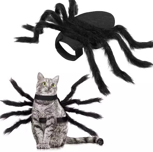 Yafeite Halloween Spider Kostym för katter