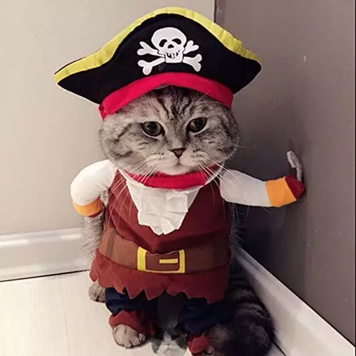 Idepet Pirate Costume פֿאַר קאַץ