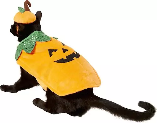 Костюм за куче и котка Frisco Pumpkin