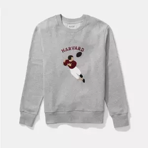 HillFlint Harvard sweatshirt