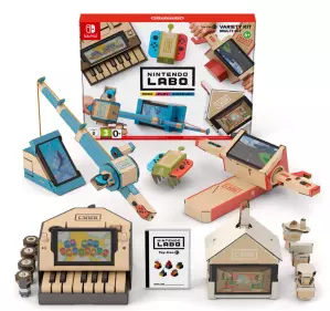 Nintendo Labour Variety Kit