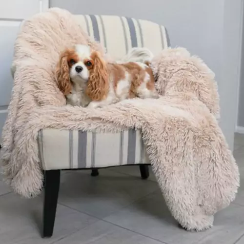 Alpha Paw Giant Fuzzy Blanket