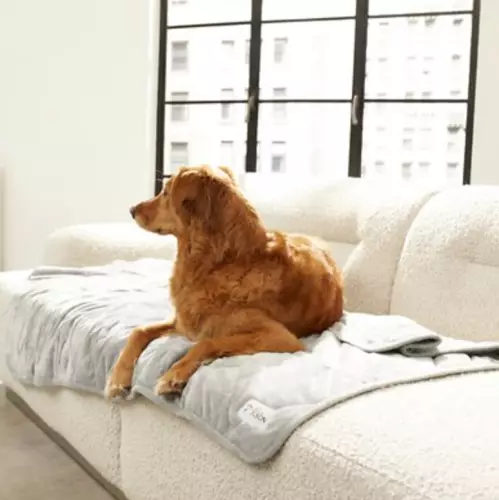 Pătură matlasată cu microplush Pet Fusion