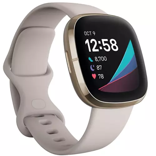 Fitbit Algısı