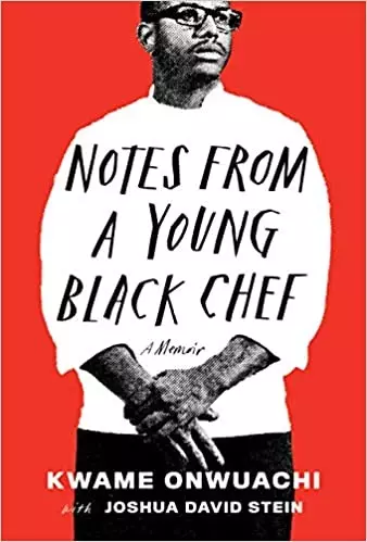Noter fra en ung sort kok, erindringer af sorte forfattere
