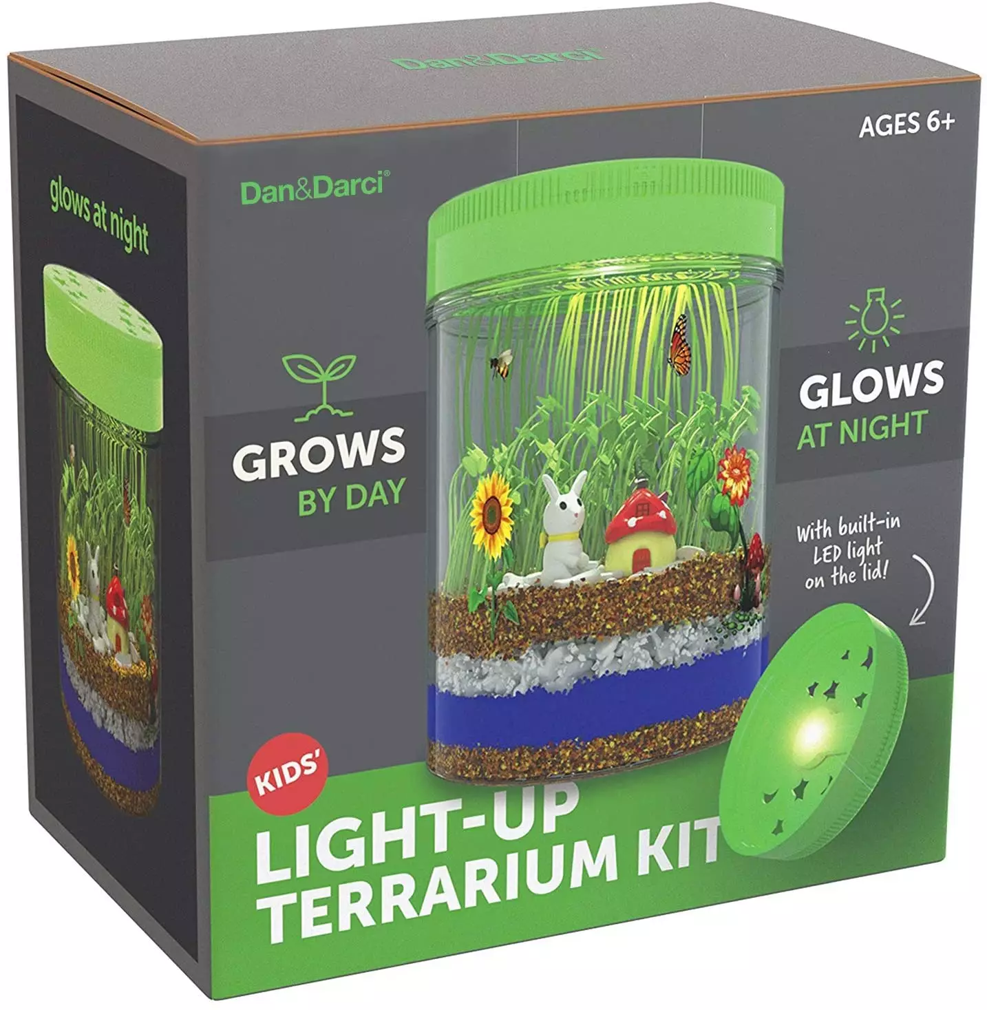 Light-Up Terraario Kit