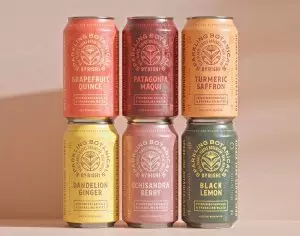 Sparkling Botanicals Sampler Pack