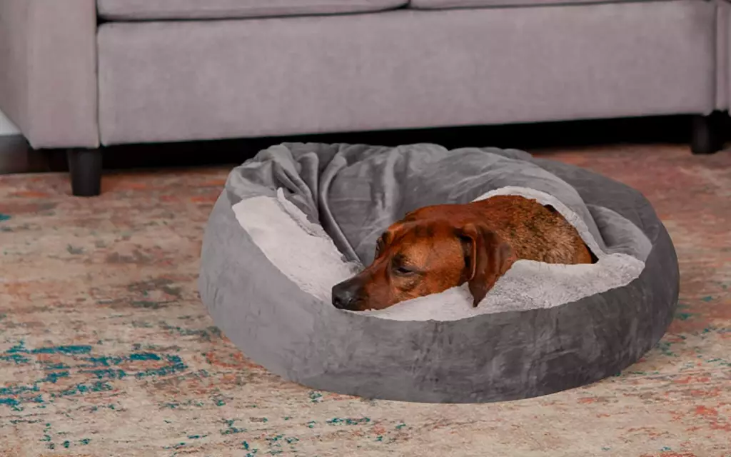 Les meilleurs lits pour chiens apaisants sur Amazon pour apaiser l'anxiété de votre chiot
