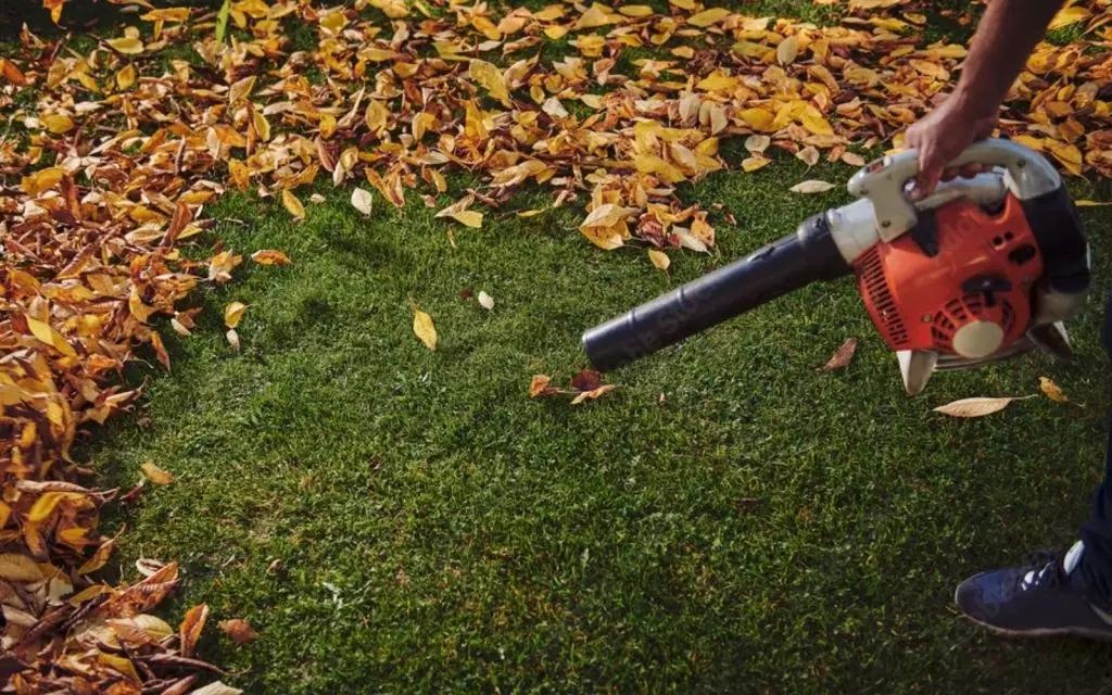 Os 12 mellores sopladores de follas para manter o teu xardín en perfecto estado