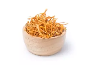 boqoshaada cordyceps, waa maxay adaptogens